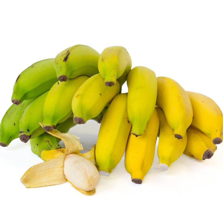 All Products at Robert is Here – Robert Is Here, Inc.